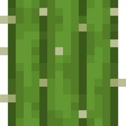 Minecraft Cactus(Side)