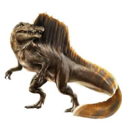 Spino