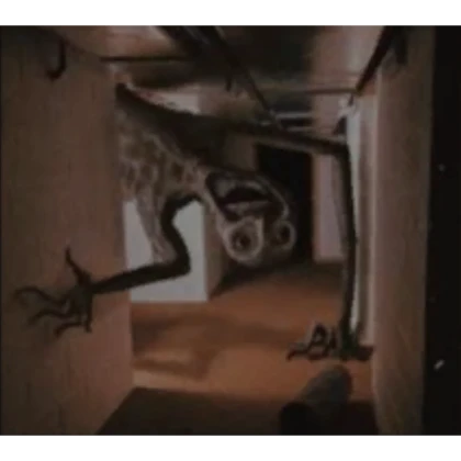 Scary Creature Unnerving Image Cursed Horror Face | Roblox Item - Rolimon's