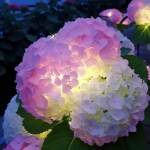 flowers of spring - Roblox