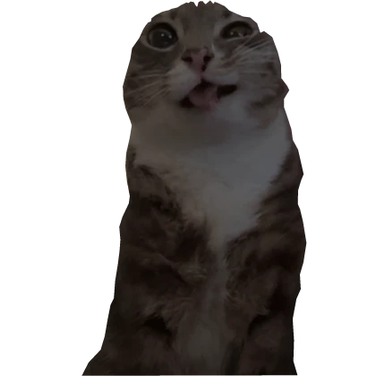 Rigby The Cat | Roblox Item - Rolimon's