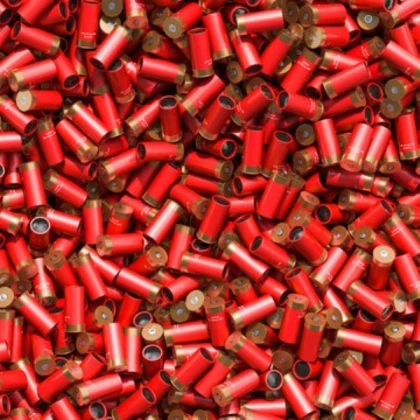 Shotgun Shells