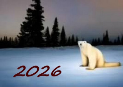 Medved dari 2026 [ ] - Roblox