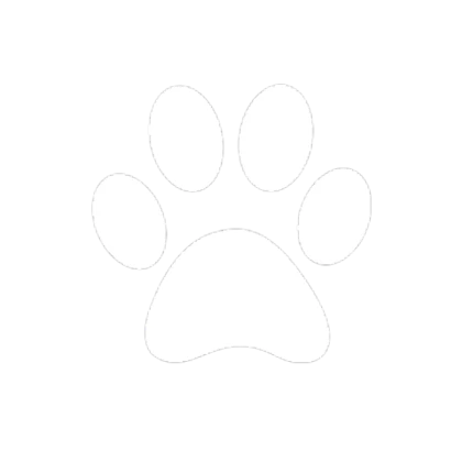 paw