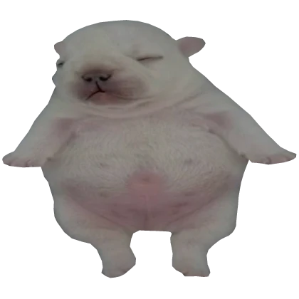 white gmail pibble | Roblox Item - Rolimon's