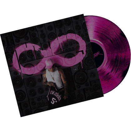 Five Forever Vinyl - PlaqueBoyMax | Roblox Item - Rolimon's