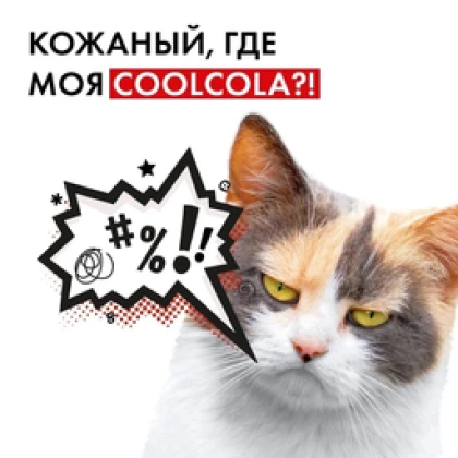 coolcola the cat