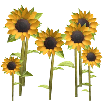 Sunflower Field | Roblox Item - Rolimon's