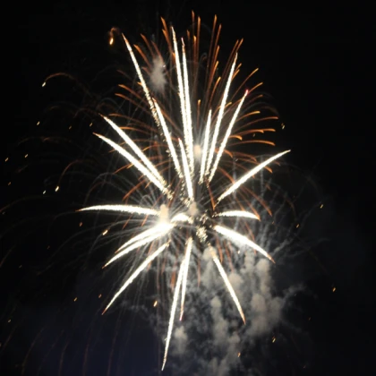 FIREWORK