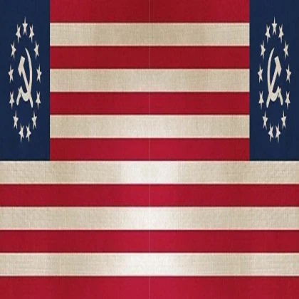 communist America waterloo at home flag