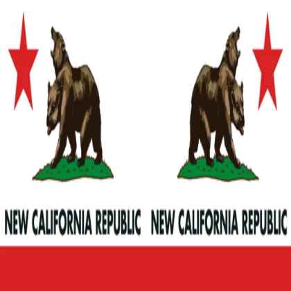 NCR Flag Waterloo