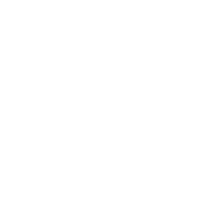 Asset Preview
