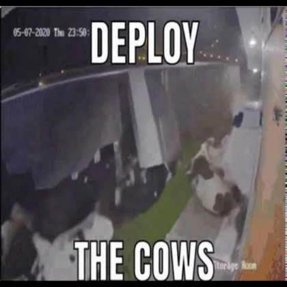 deploy the cows