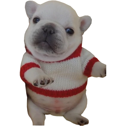 lol | Roblox Item - Rolimon's