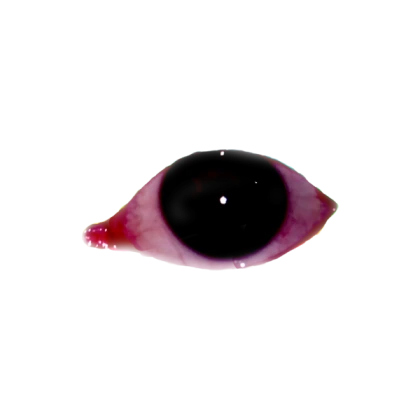 weirdcore eye