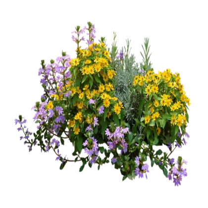 Bloxburg Flower Variety Decal Png Transparent