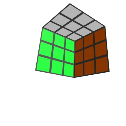 rubik's illusion