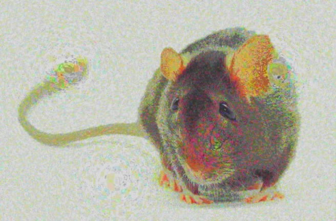 base super secreta para ratos - Roblox