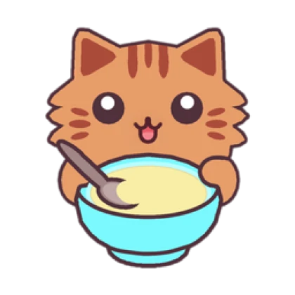 cat drinks soup
