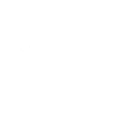Asset Preview