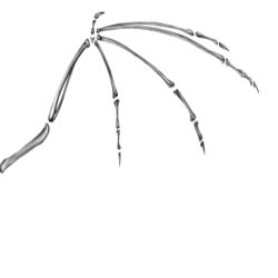 Royale high Valkyrie wings - skele