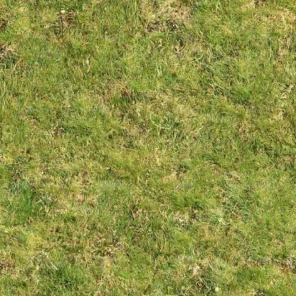 Textura De pasto Clasico