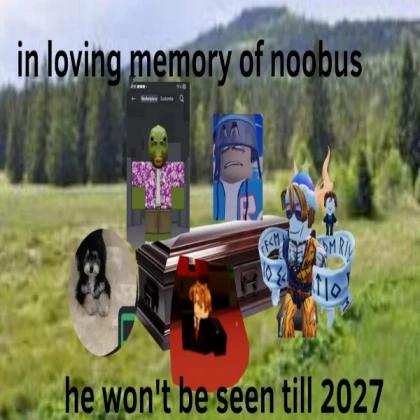 memory for noobus