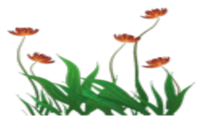 flora_mv_grass04