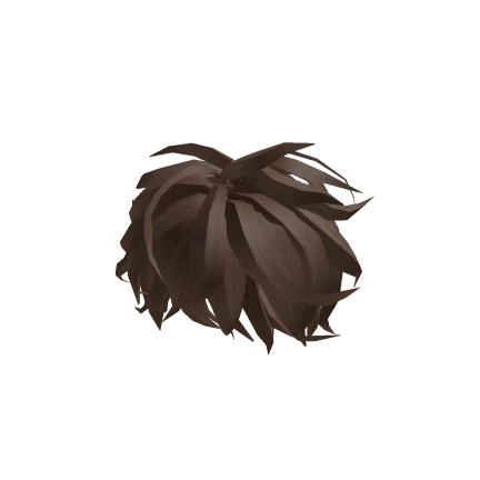 Asset Preview