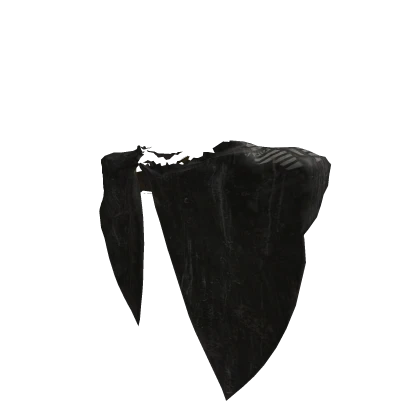 Higgs Monaghan Cape (Death Stranding) | Roblox Item - Rolimon's