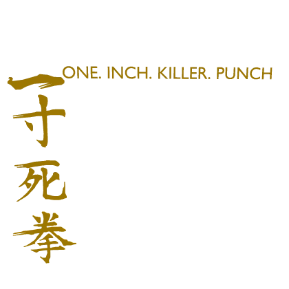 Jun's ONE. INCH. KILLER. PUNCH | Roblox Item - Rolimon's