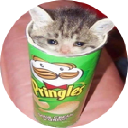 pringles cat - Roblox