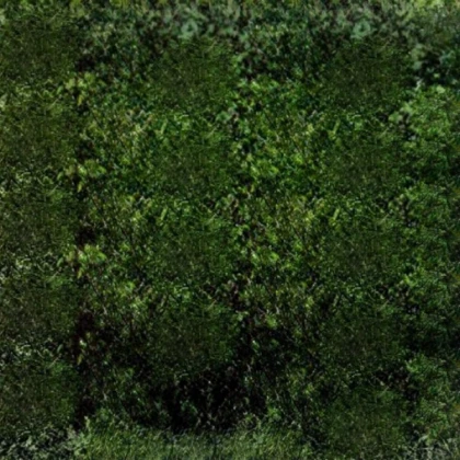 Bush
