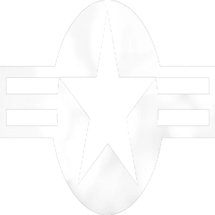 USAF Logo Color White