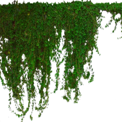 ivy-flower-decorations