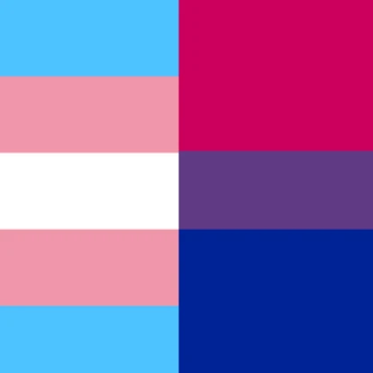 trans and bi flags