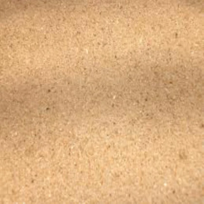Sand Texture