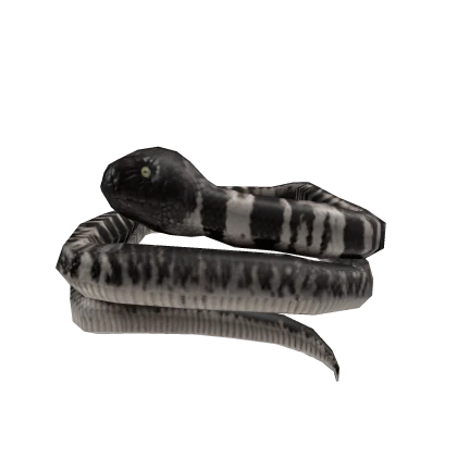 Python Black and White Snake Pet Bracelet | Roblox Item - Rolimon's