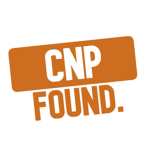 CNP Foundation - Roblox