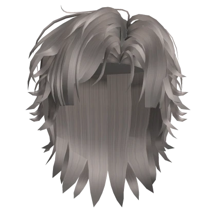 Kaiser Hair - Platnium | Roblox Item - Rolimon's