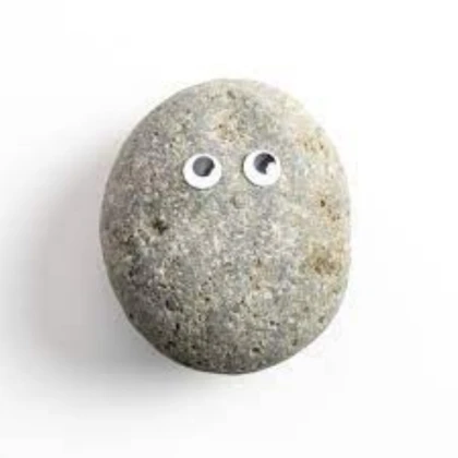 Pet Rock
