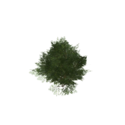 Asset Preview