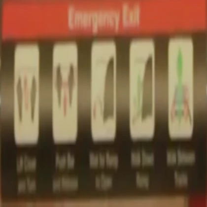 TTC TR Emergency EXIT sign