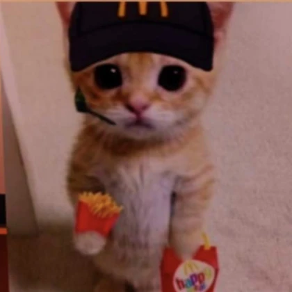 McDonald cat