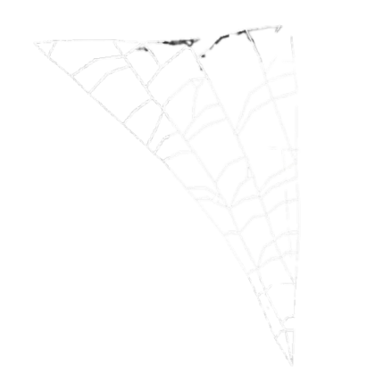 cobweb