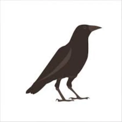 crow