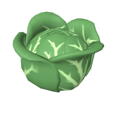 Cabbage | Roblox Item - Rolimon's