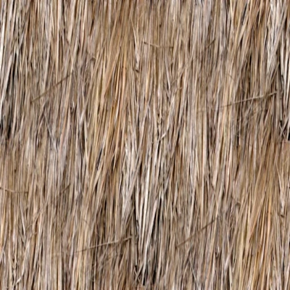 Seamless Hay Texture