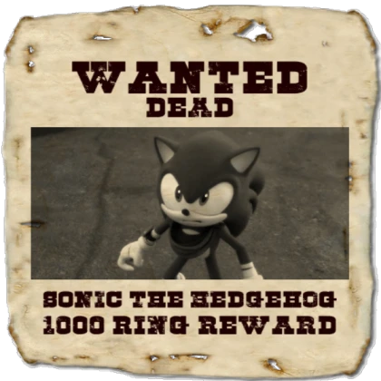 Sonic Wanted (Sonic Boom)