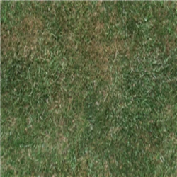 Grass Texture